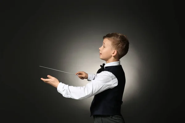Senior Male Conductor Grey Background Stock Photo by ©serezniy 372456926