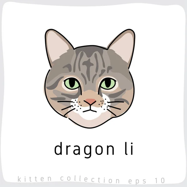 13 ilustraciones de stock de Dragón li | Depositphotos