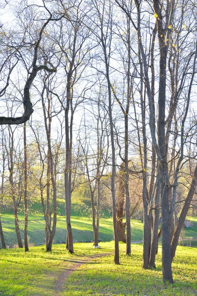 Stanly park Stock Photos, Royalty Free Stanly park Images | Depositphotos