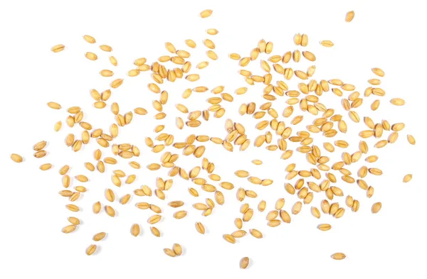 Split grains Stock Photos, Royalty Free Split grains Images | Depositphotos