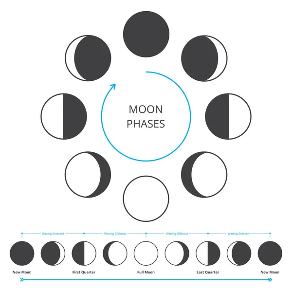 Moon phases silhouette set Vector Art Stock Images | Depositphotos
