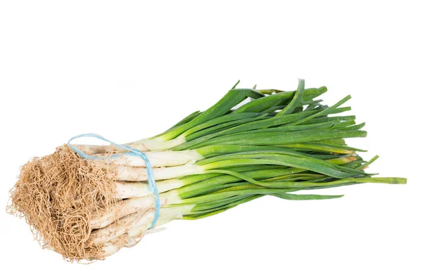 Calcot Stock Photos, Royalty Free Calcot Images | Depositphotos