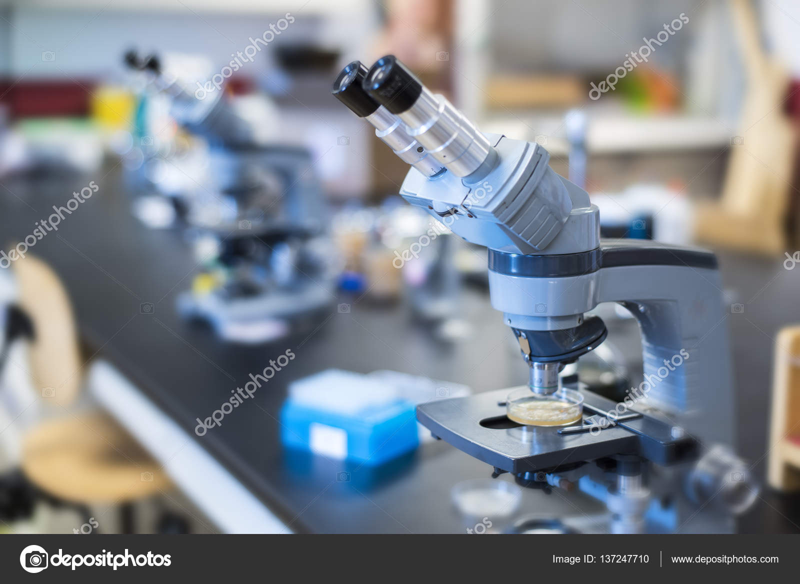 Scientific microscope. Laboratory Experiment — Stock Photo © studiodin ...