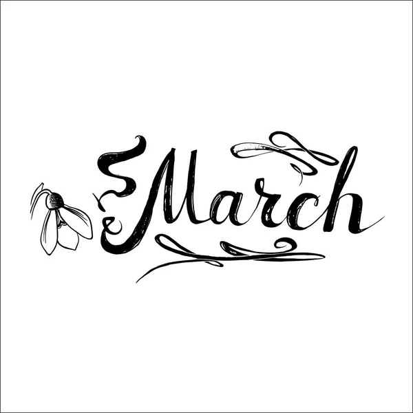 19,432,806 Marco fotografia Vector Images | Depositphotos