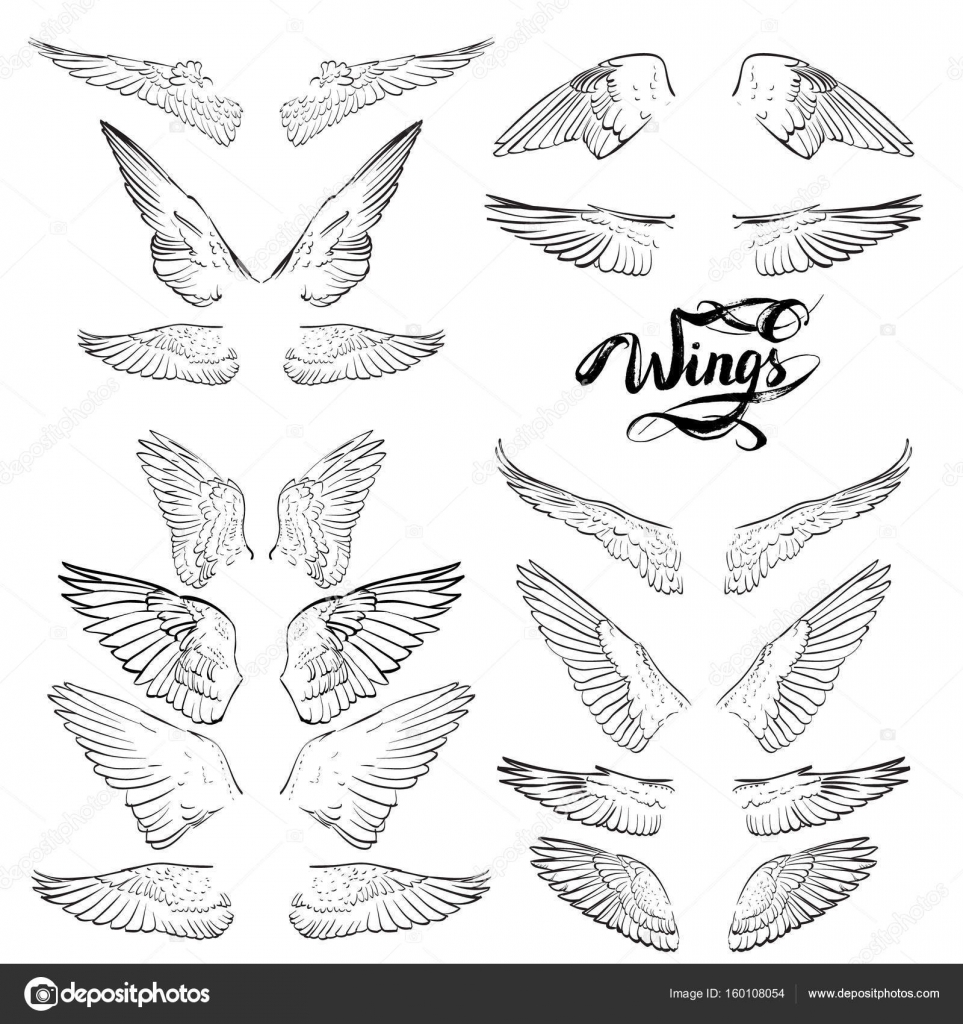 Alas de ángel, letras, dibujo vector Vector de stock por ©tanshy 160108054