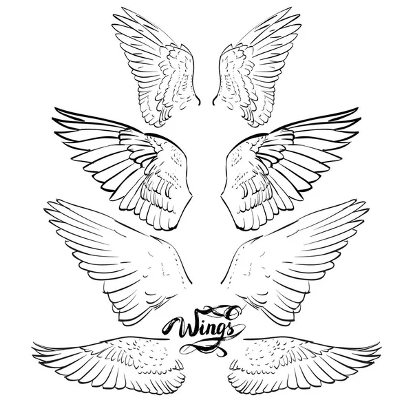 Ángel alas vector, letras, dibujo Vector de stock #136005232 de ©tanshy