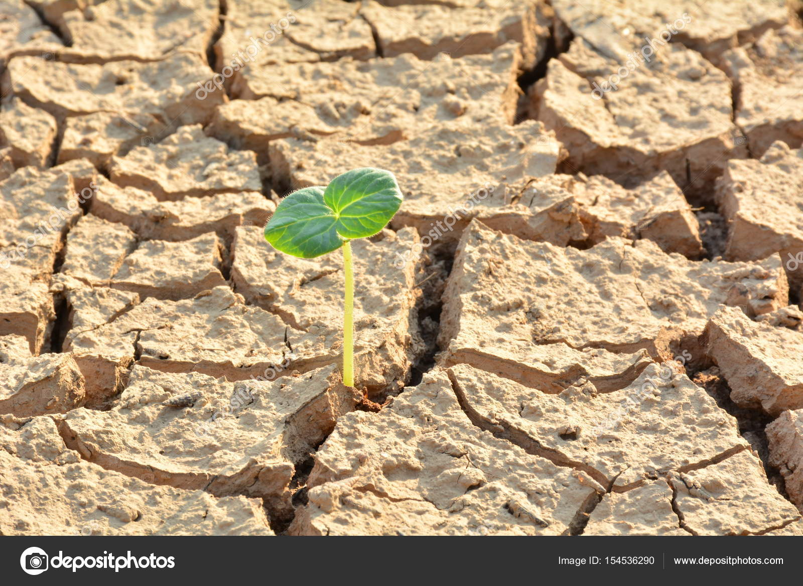 Desolate land or dry areas have little green plant growth up, ne Stock ...
