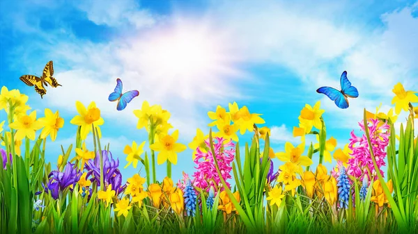 Spring landscape background with fresh spring flowers Stock Photo by ...