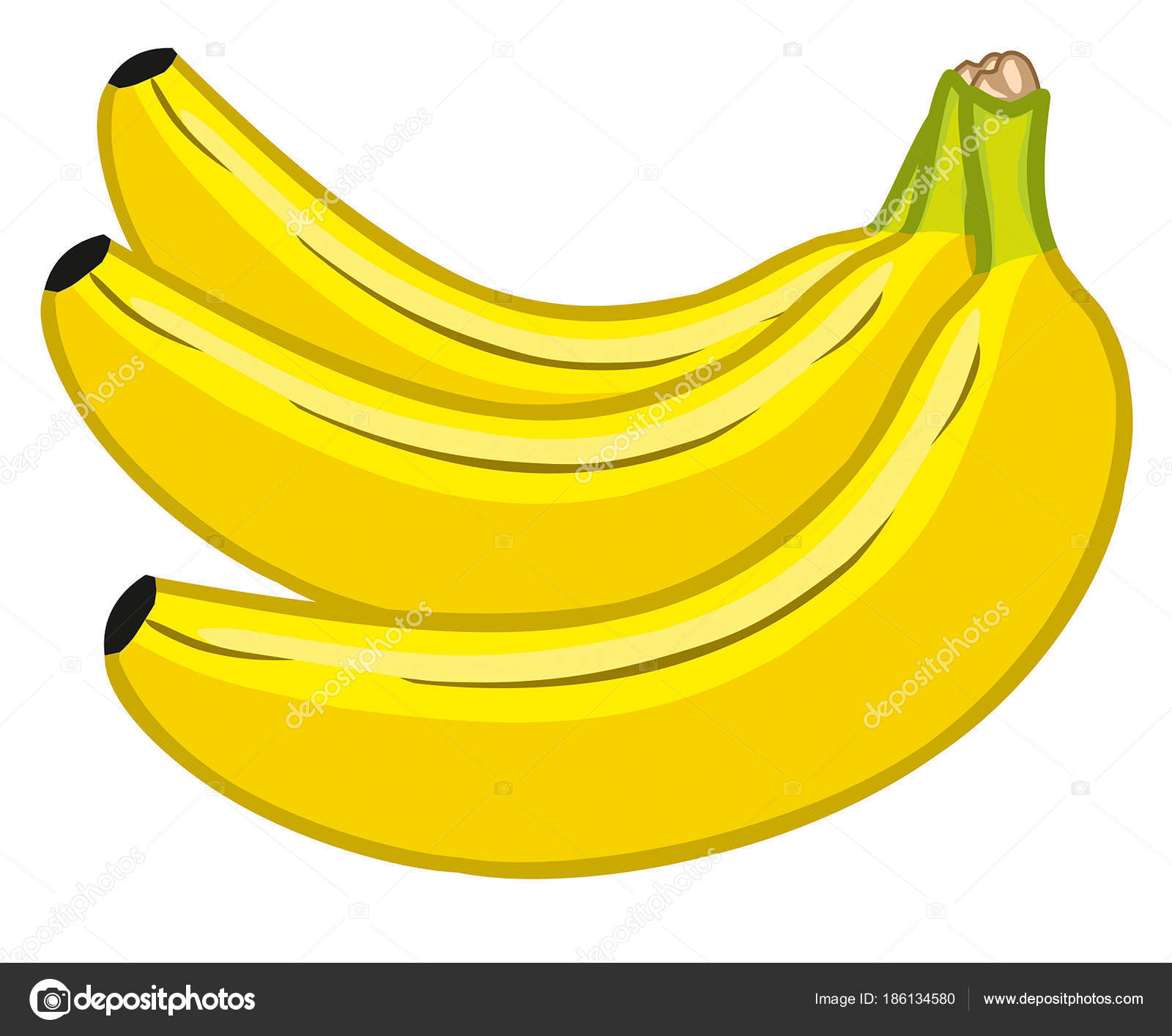 Banana Bunch Vector