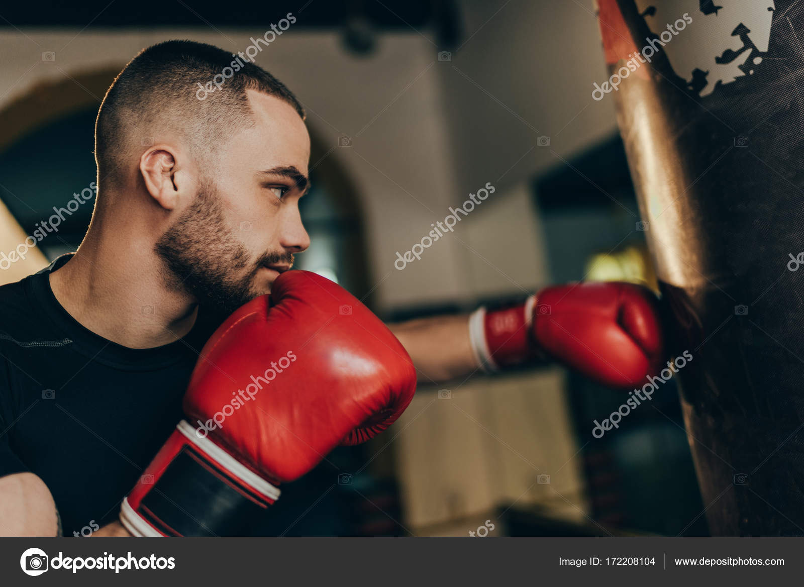 Boxer — Stock Photo © IgorTishenko #172208104