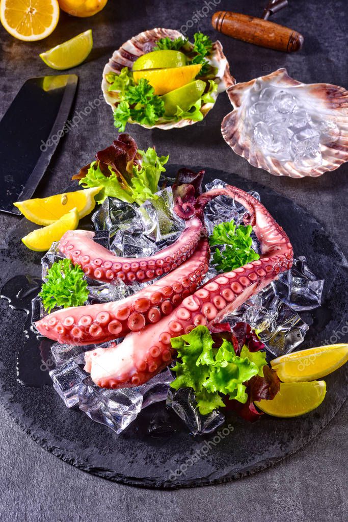 pulpo crudo en el hielo, manjar mariscos 2024