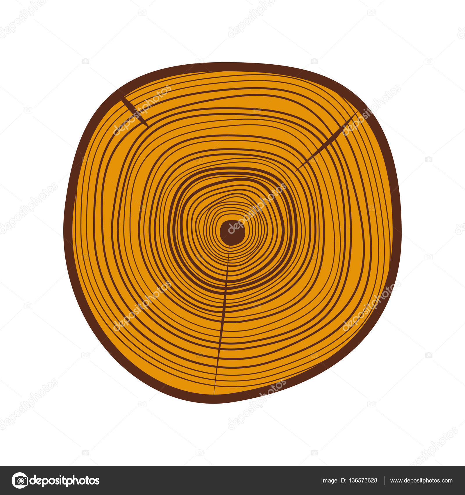 Tree wood slices vector. Stock Vector by ©vectordreamsmachine 136573628