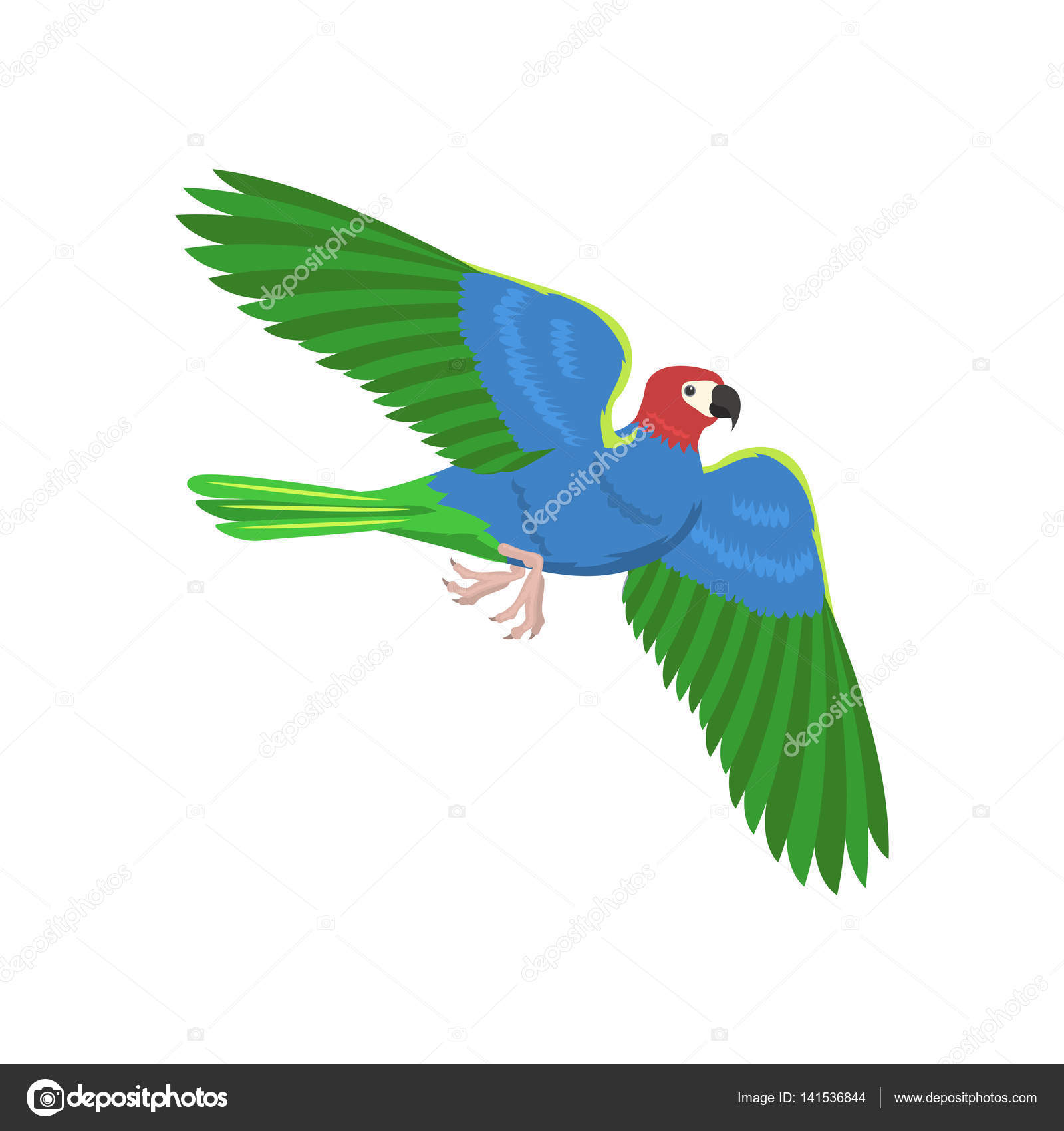 Ilustración del vector de aves voladoras de loro de dibujos animados ...