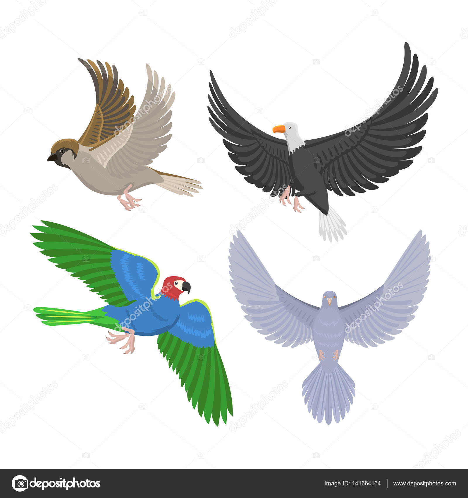 Set of different flying birds vector illustration. Stock Vector Image ...
