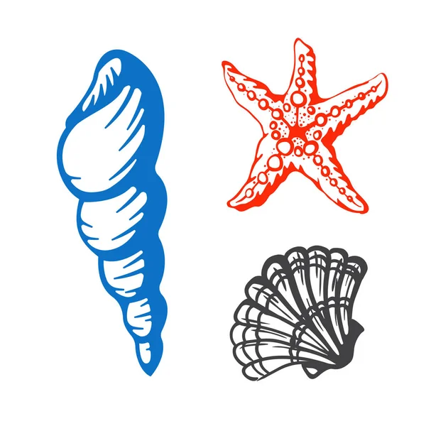 Sea marine shells hand drawn sketch vector illustration. Stock Vector Image by ...