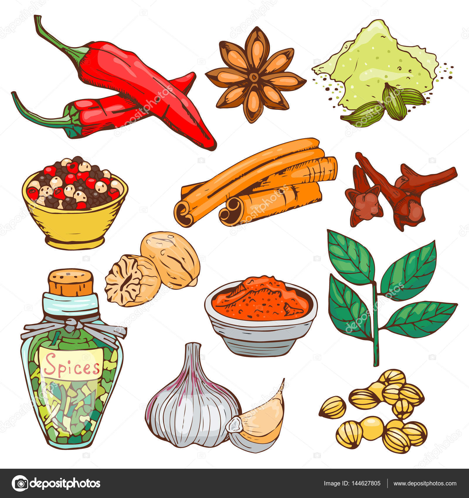 Spices seasoning hand drawn style food herbs elements and seeds ...