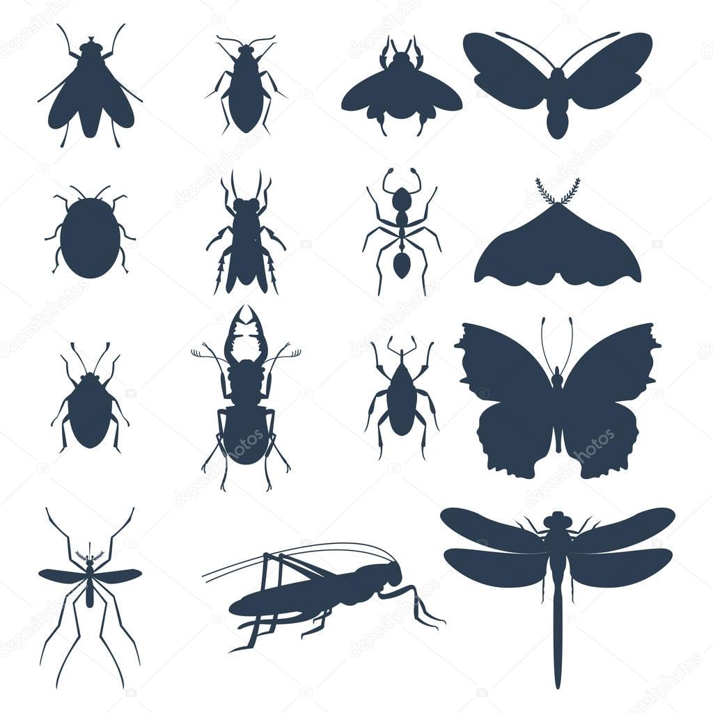 Iconos de silueta de insectos aislados ala fauna detalle insectos de ...