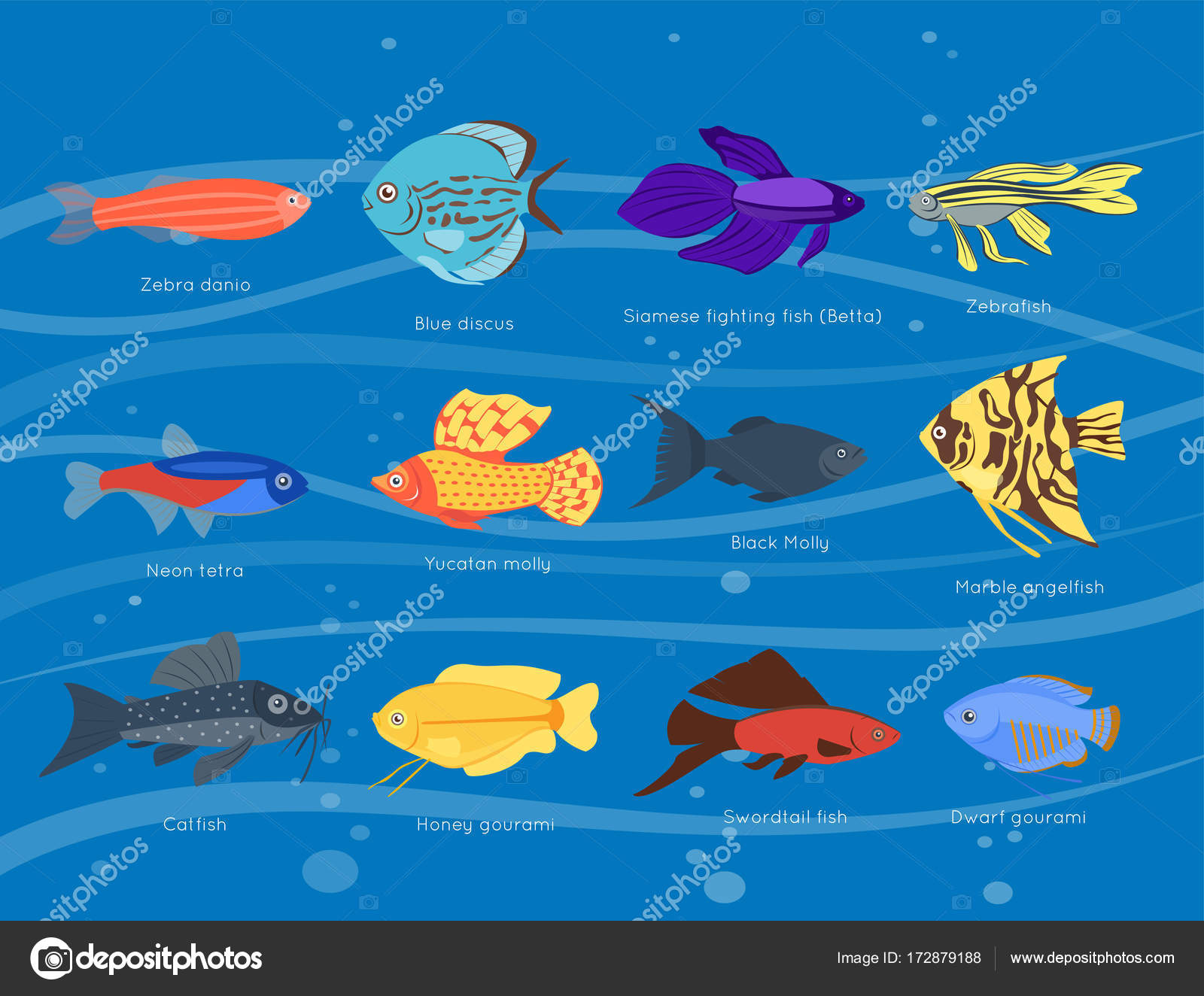 Top 122+ Molly fish cartoon - Tariquerahman.net