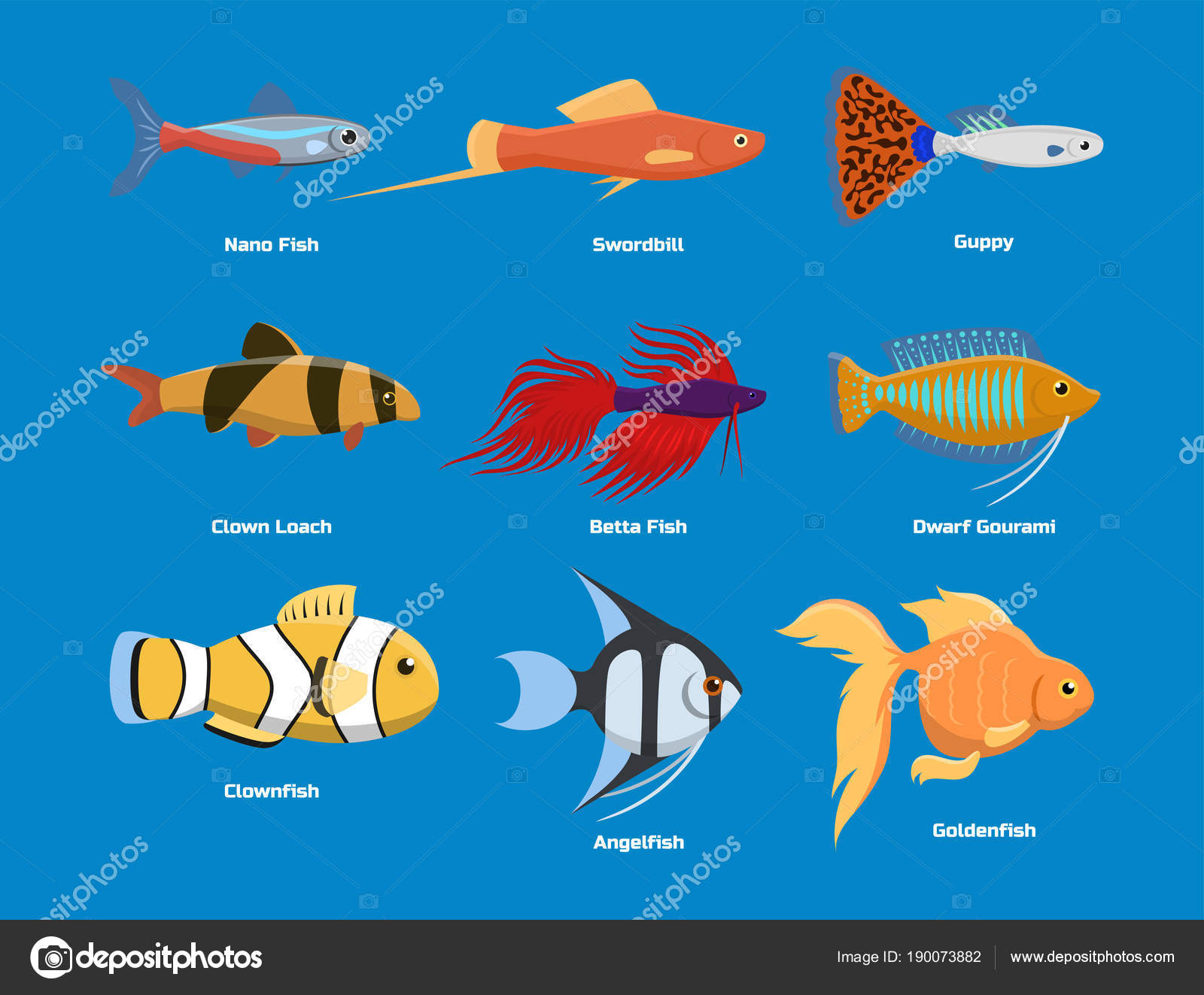 Exotic tropical aquarium fish different colors underwater ocean species ...