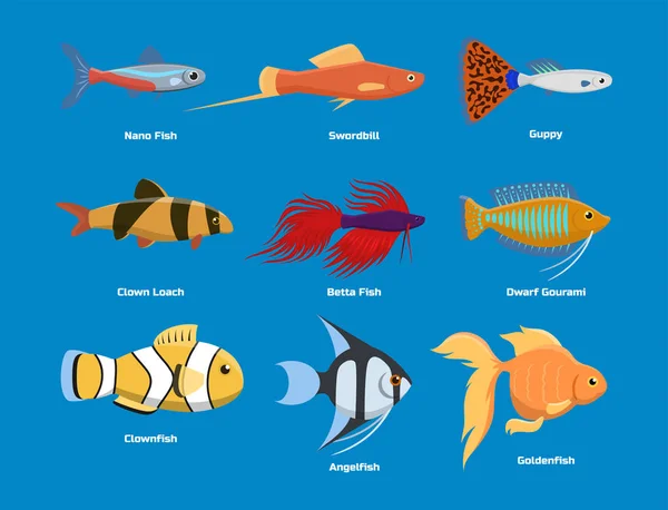 Tropical Freshwater Fish Chart