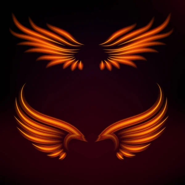 Bird fire wings vector fantasy feather burning fly mystic glow fiery burn hot art wings ...
