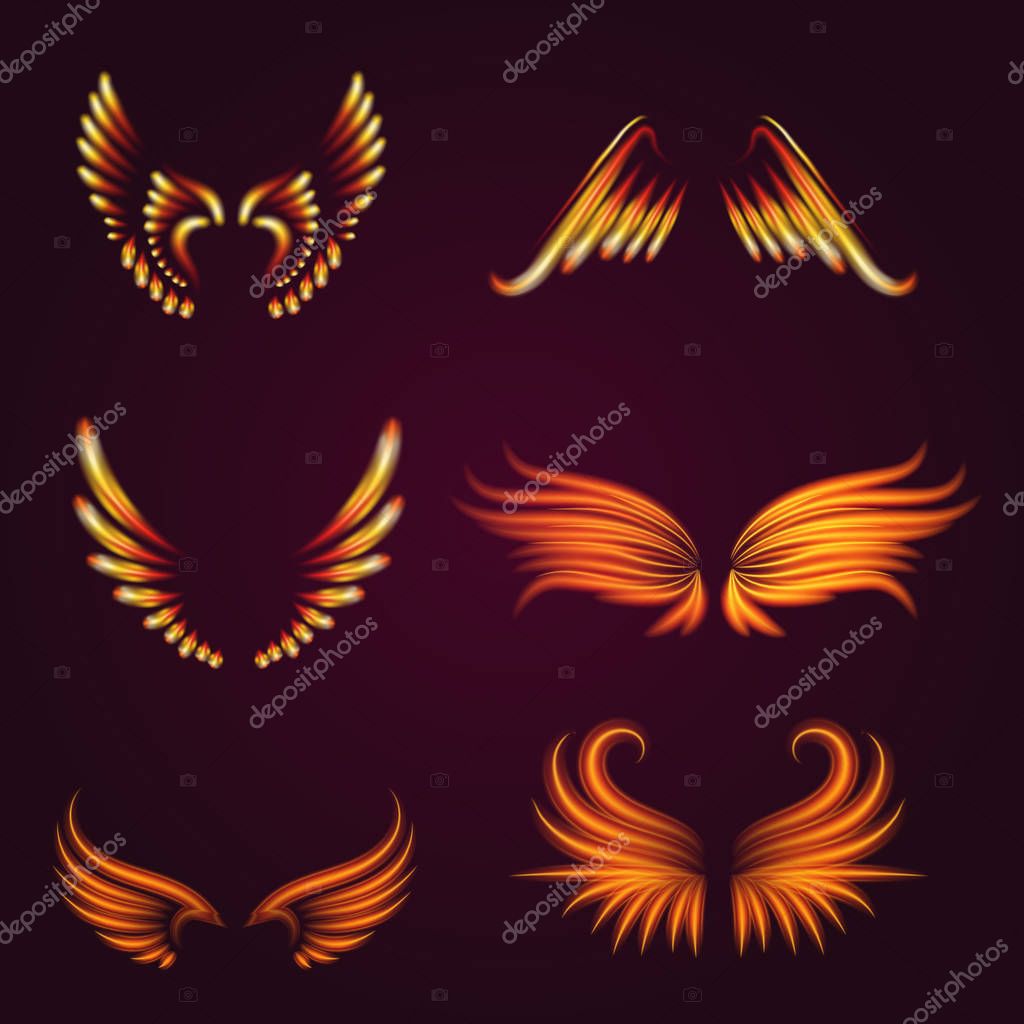 Pájaro fuego alas vector fantasía pluma ardiente mosca mística ...