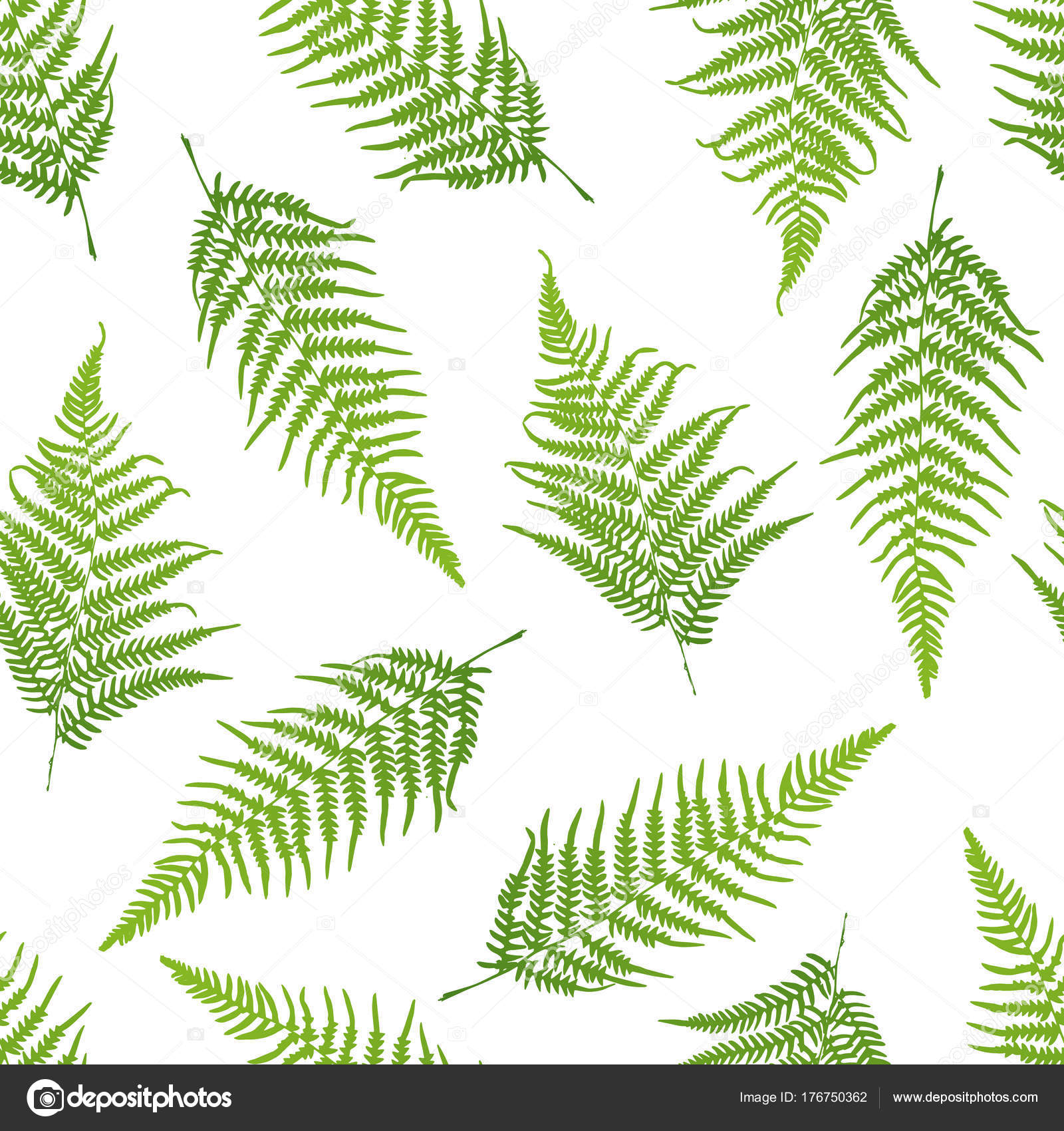 Fern Seamless Pattern Vector Illustration Stock Vector by ©greengrass 176750362