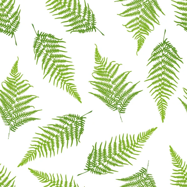 Vector illustration of fern seamless pattern — Stock Vector ...