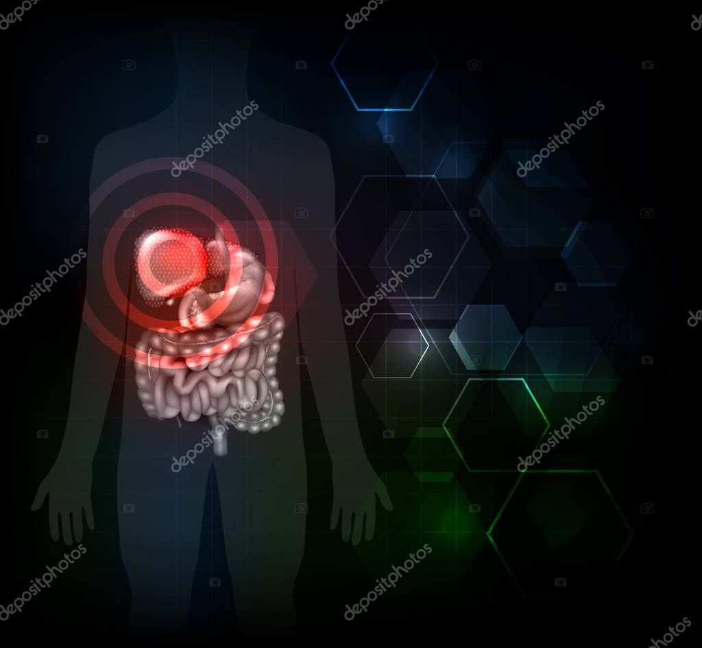 Enfermedad hep tica Ilustraci n 2024