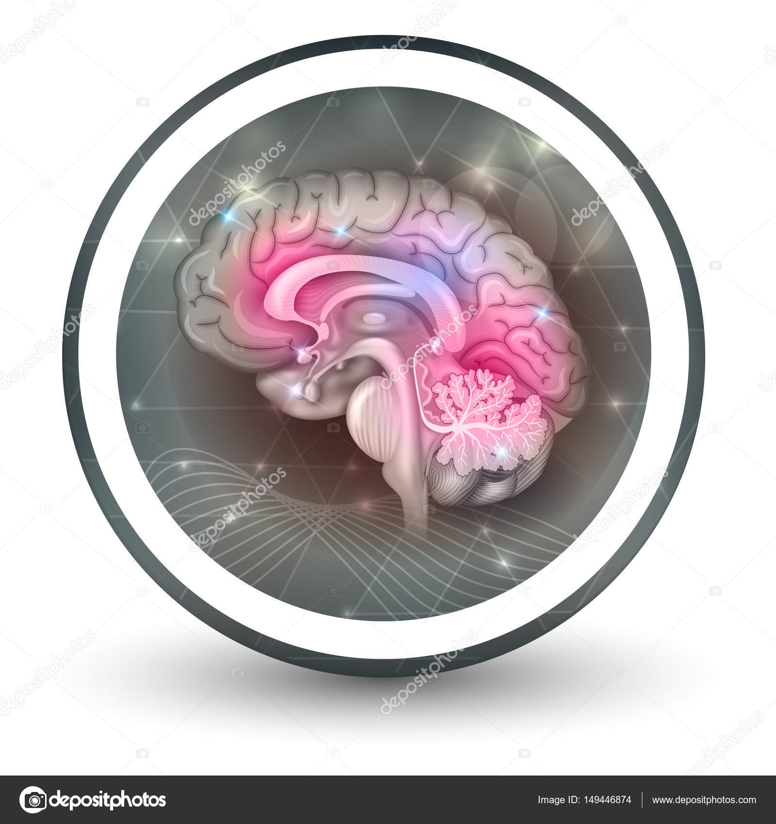 Brain round shape icon Stock Vector Image by ©megija #149446874