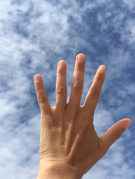 Hand reaching to sky. ⬇ Stock Photo, Image by © eevl #30140255