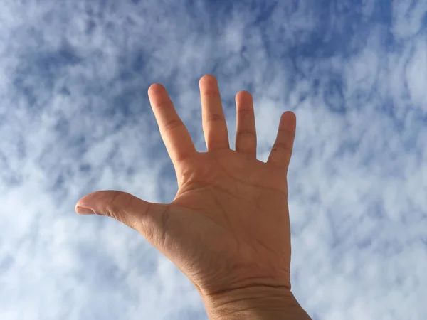 Hand reaching to sky. ⬇ Stock Photo, Image by © eevl #30140255