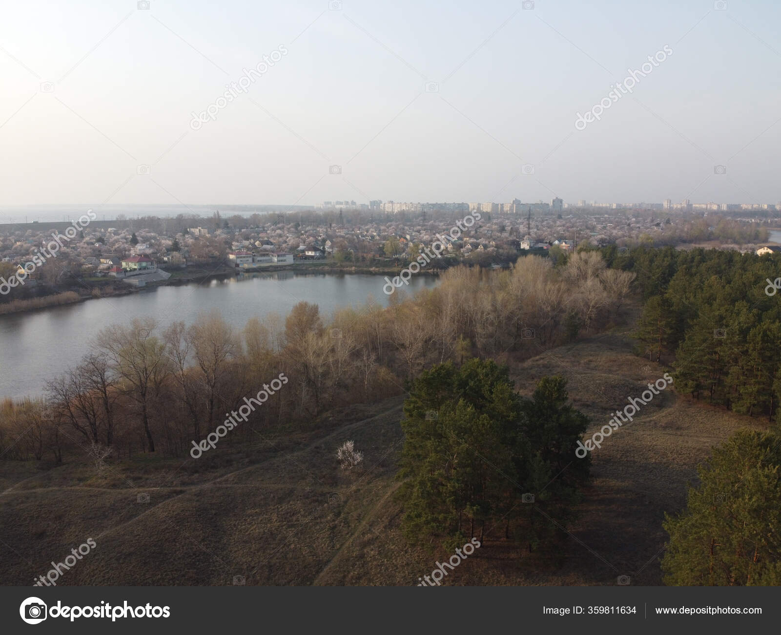 Landscape Forest Water Pine Forest Top View — Stock Photo ...
