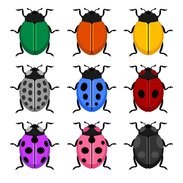 Images: different colored ladybugs | Ladybugs in Different Colors ...