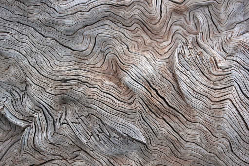 In nature, dead trees background Stock Photo by ©reflex_safak 126887858