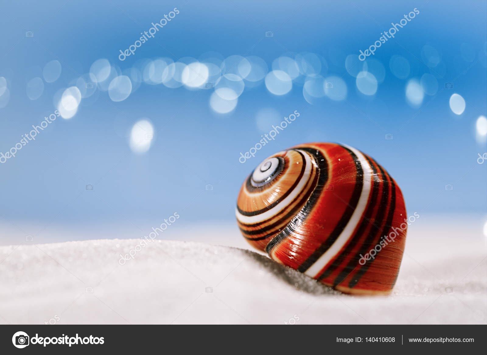Bright polymita shell — Stock Photo © lvenks #140410608