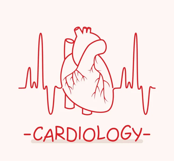 Vector Human Heart Medical Symbol Of Cardiology — Stock Vector