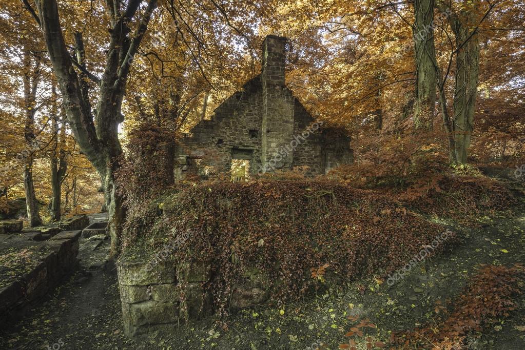 Spooky viejo edificio abandonado en ruinas grueso bosque de otoño ...