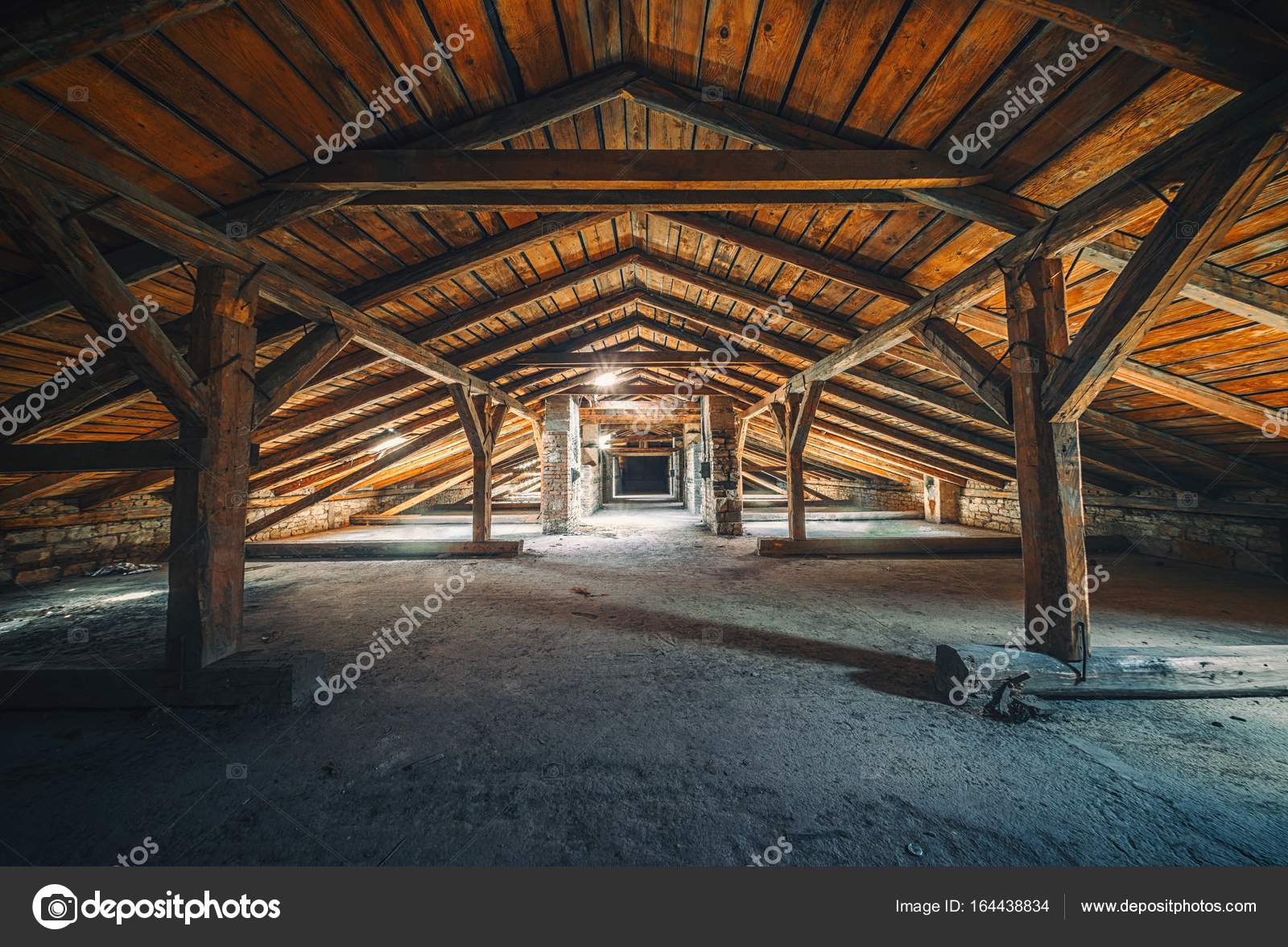 Creepy Old Attic