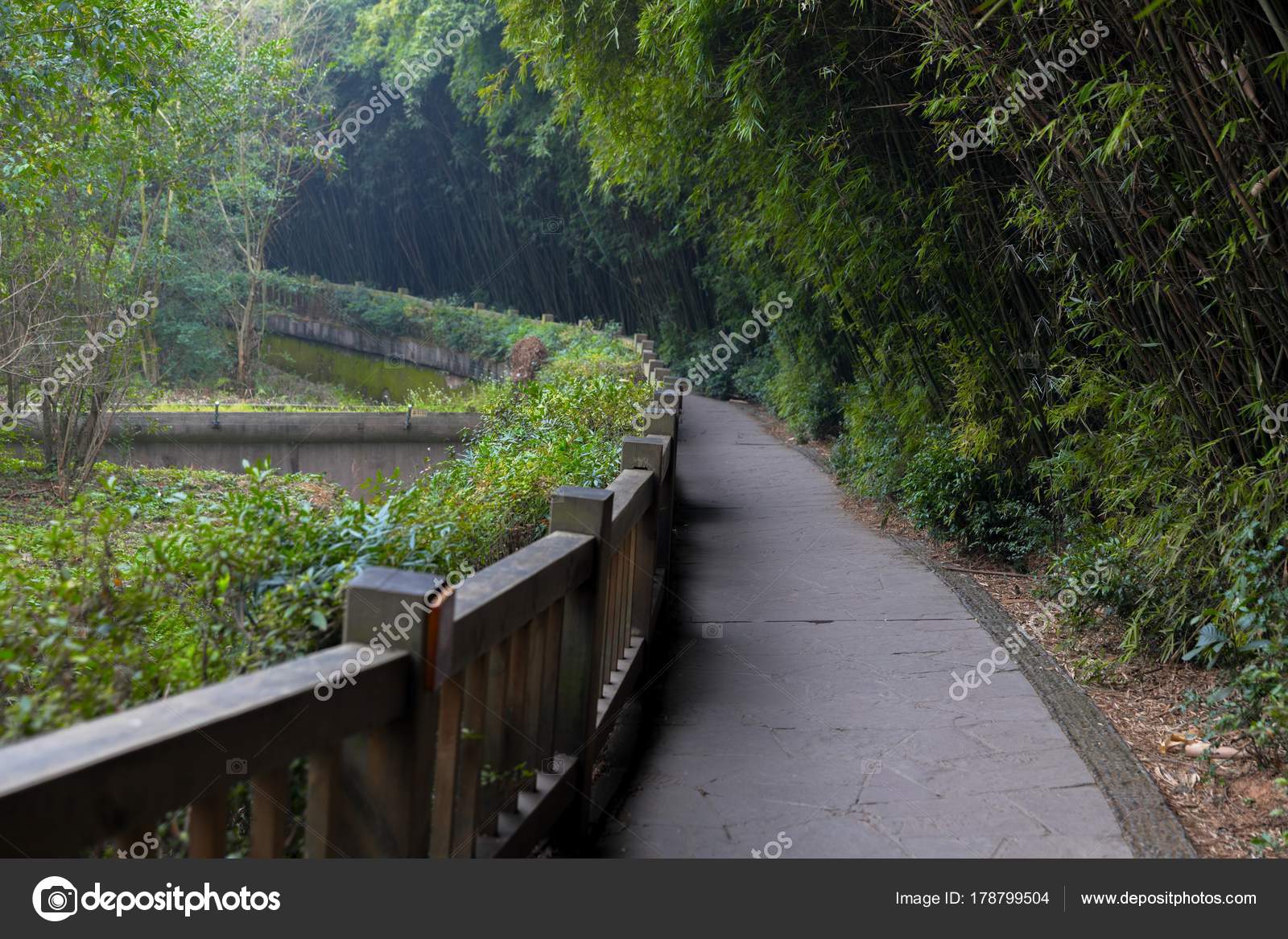 Long misty path in the park Stock Photo by ©svedoliver 178799504