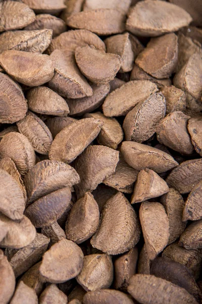 Brazil Nut Shells — Stock Photo © monkeybusiness #4789786