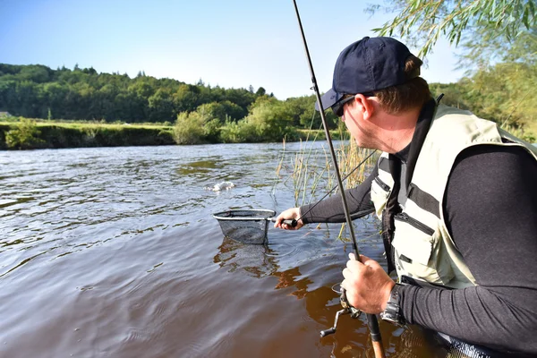 Seatrout Stock Photos, Royalty Free Seatrout Images | Depositphotos