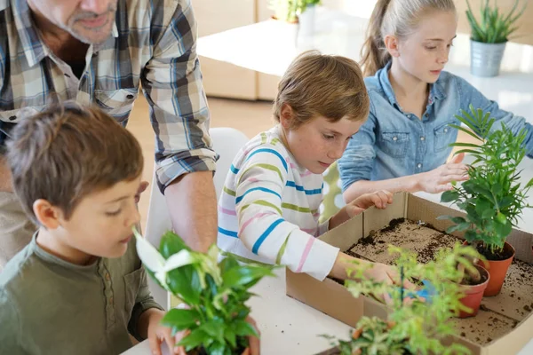 About plants and vegetation Stock Photos, Royalty Free About plants and ...