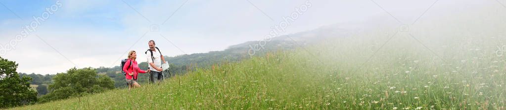 Paisagem rural banner Stock Photos, Royalty Free Paisagem rural banner ...