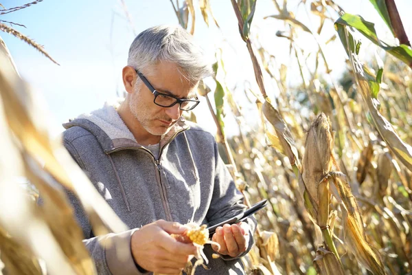 Field testing Stock Photos, Royalty Free Field testing Images ...