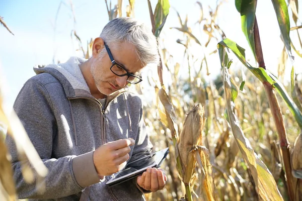 Field testing Stock Photos, Royalty Free Field testing Images ...