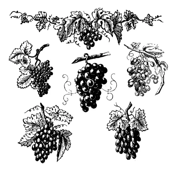 Set of clusters of grapes Stock Vector by ©EnginKorkmaz 138082268