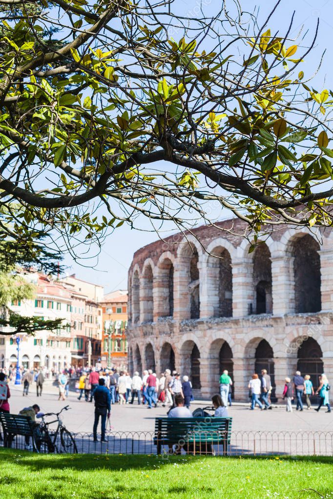 vista de rama de árbol verde y arena romana 2024