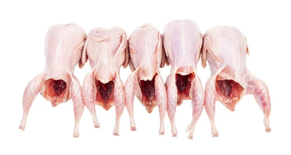 Pollo eviscerado fotos de stock, imágenes de Pollo eviscerado sin ...