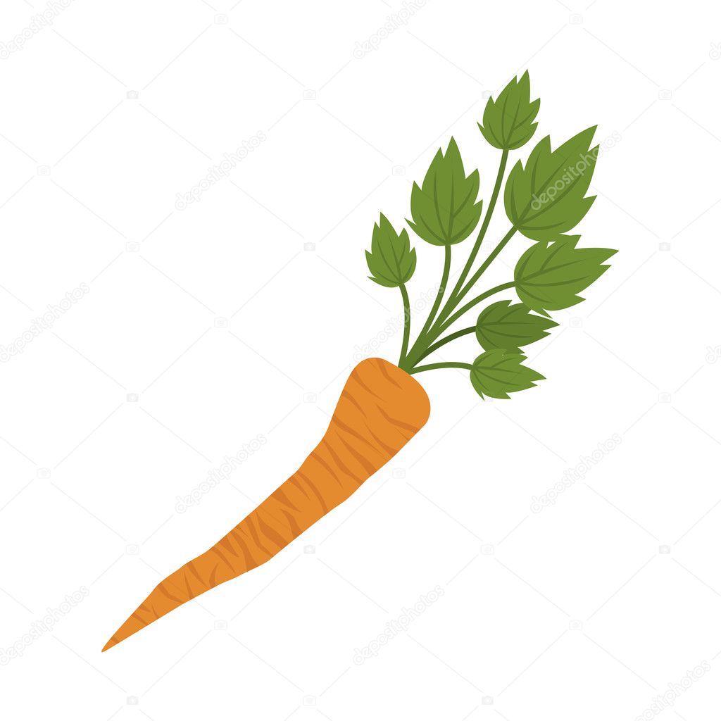 Orange carrot icon Stock Vector by ©grgroupstock 128063040